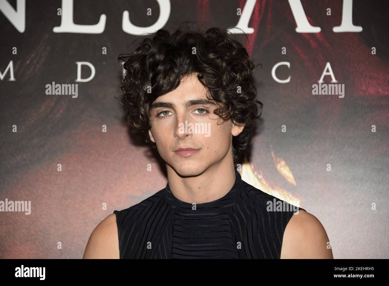 Milan, Italy. 13th Nov, 2022. Milano, Italy Bones and All film ...