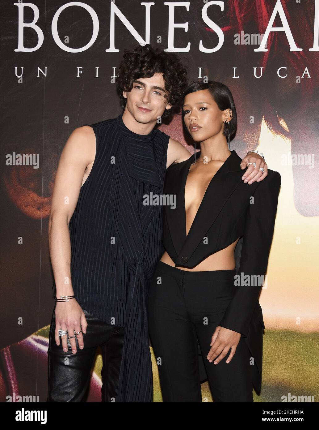 Milan, Italy. 13th Nov, 2022. Milano, Italy Bones and All film ...