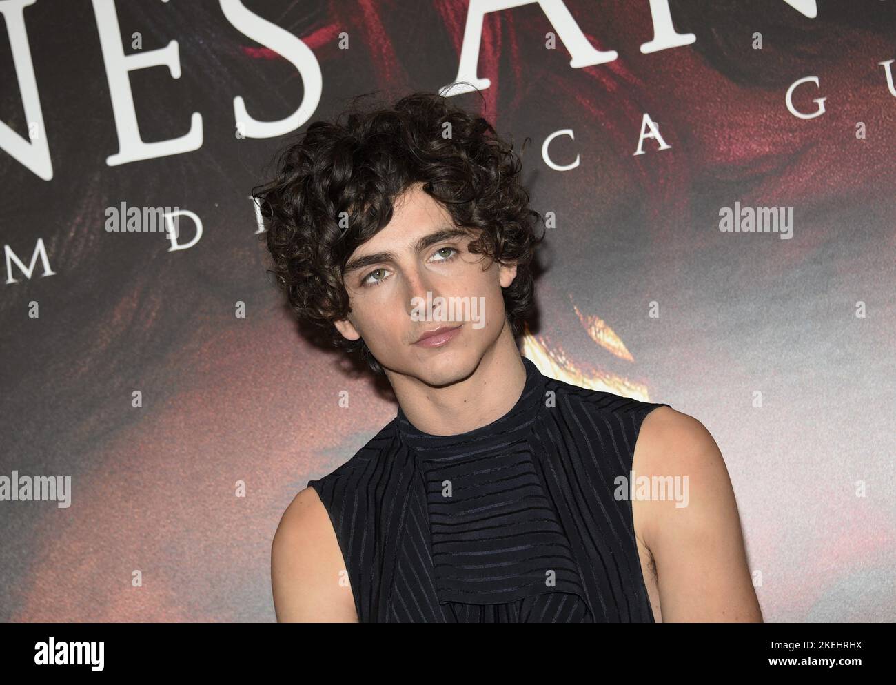 Milan, Italy. 13th Nov, 2022. Milano, Italy Bones and All film ...