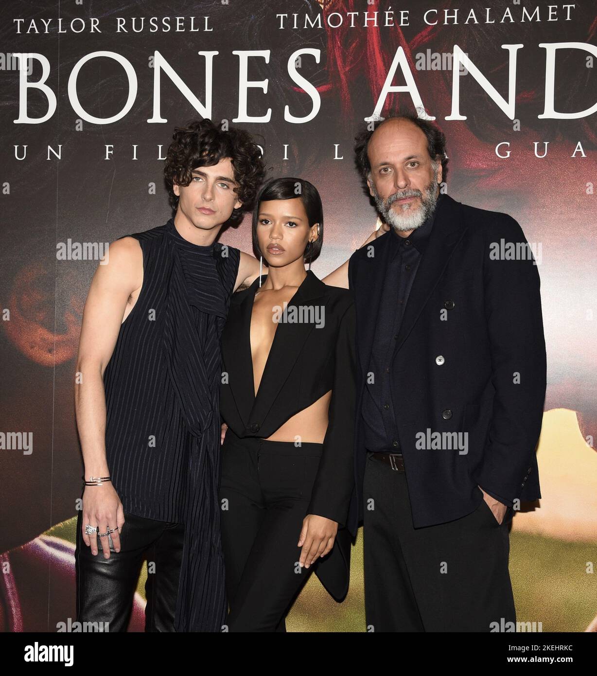 Milan, Italy. 13th Nov, 2022. Milano, Italy Bones and All film ...