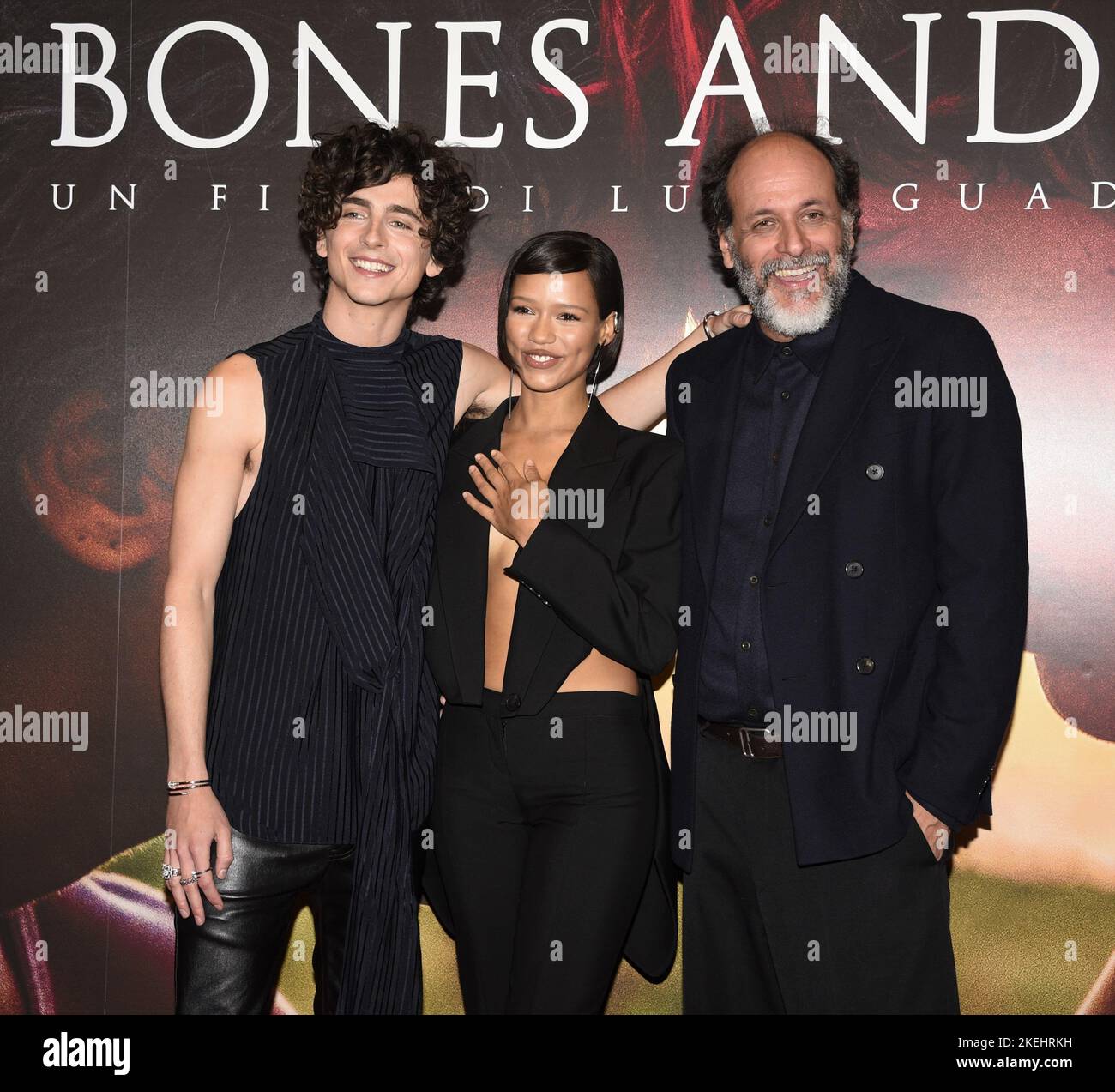 Milan, Italy. 13th Nov, 2022. Milano, Italy Bones and All film ...