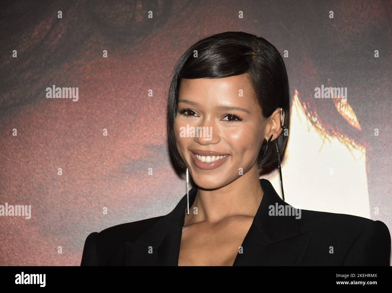 Milan, Italy. 13th Nov, 2022. Milano, Italy Bones and All film ...