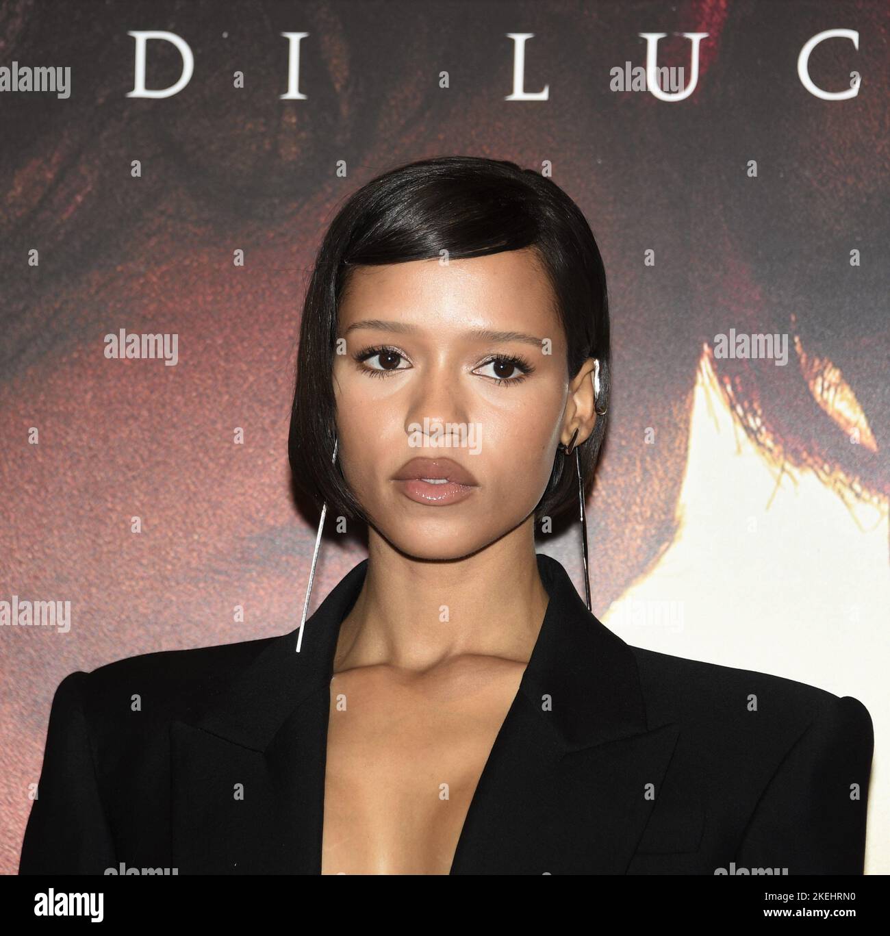 Milan, Italy. 13th Nov, 2022. Milano, Italy Bones and All film ...