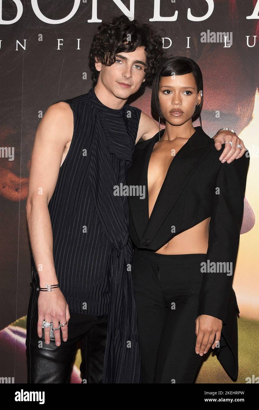 Milan, Italy. 13th Nov, 2022. Milano, Italy Bones and All film ...