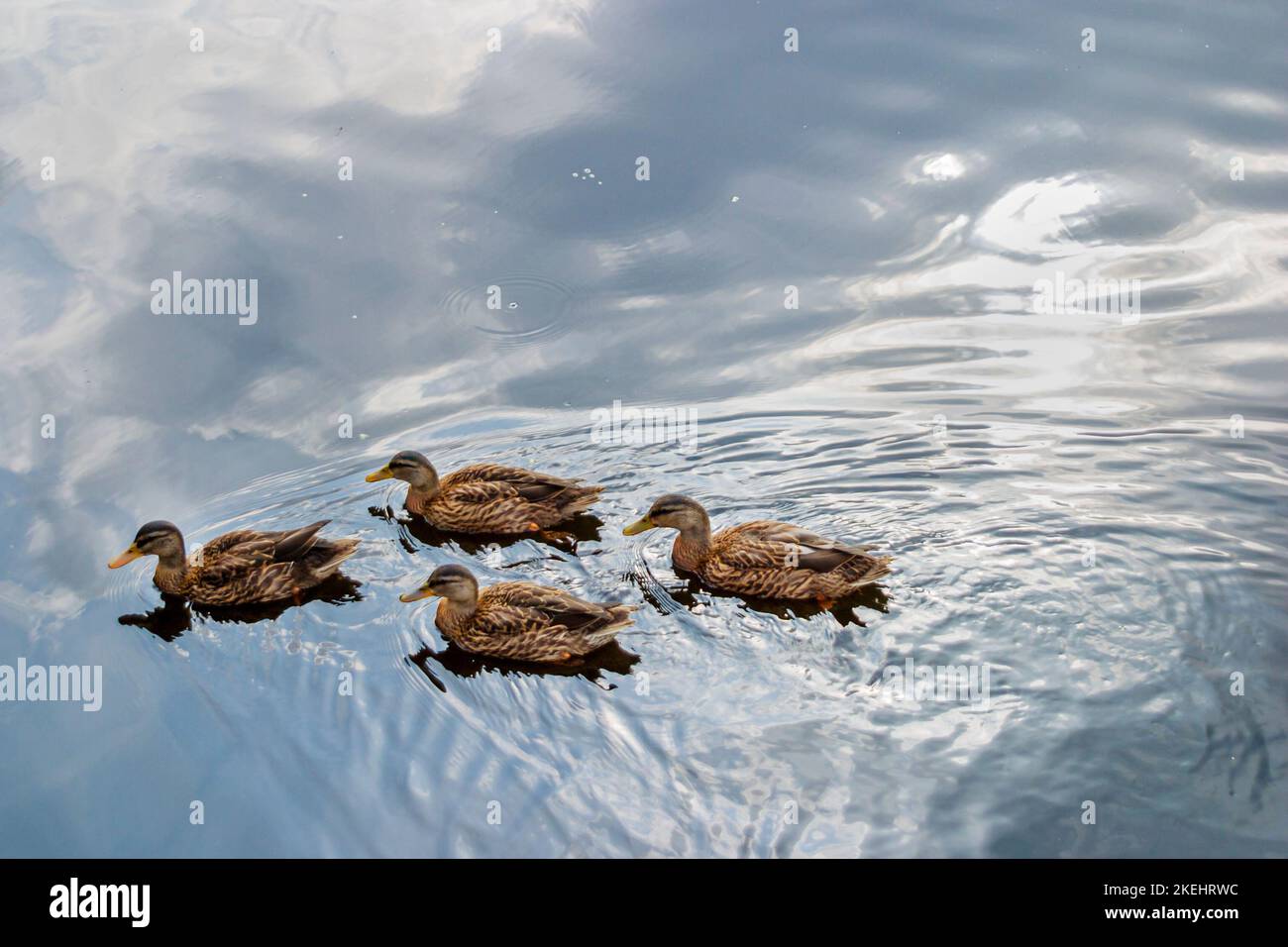 Recreation land use hi-res stock photography and images - Alamy