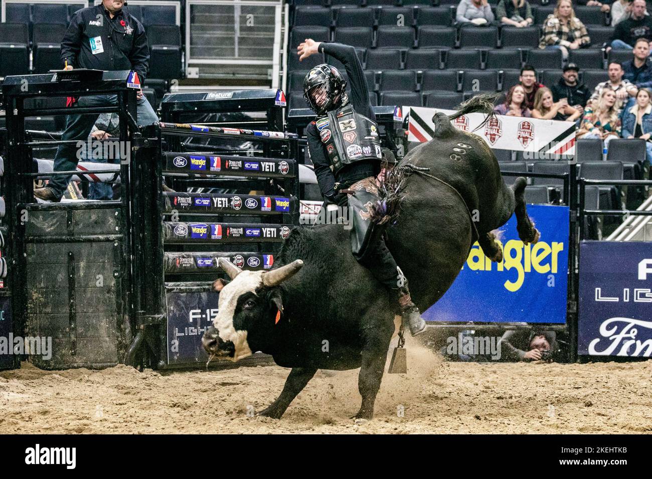 Coy robbins hi-res stock photography and images - Alamy