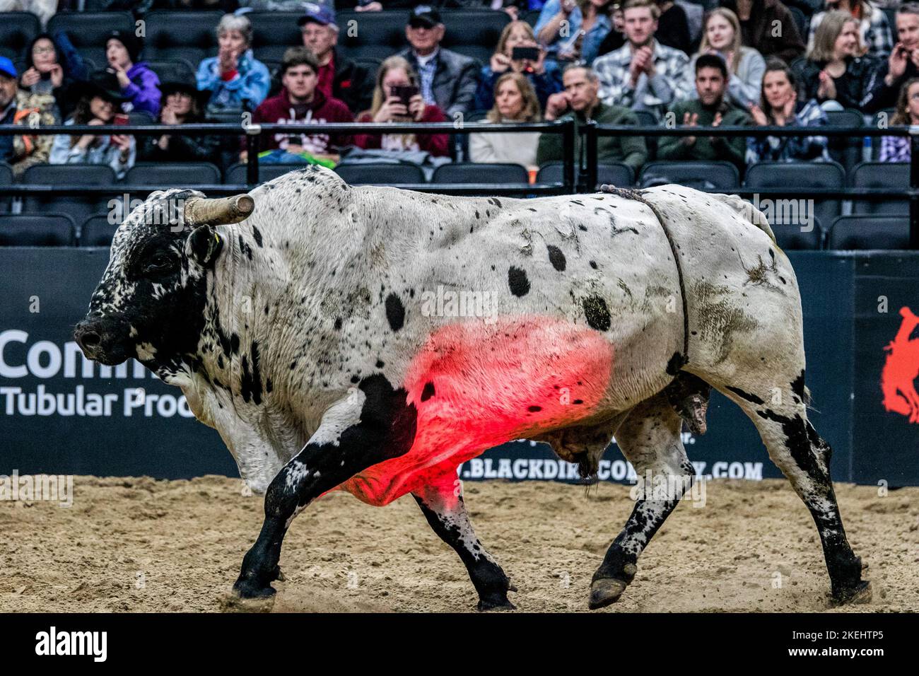 Tractorland’s Pound Sand gets to walk around the ring, one last time at ...