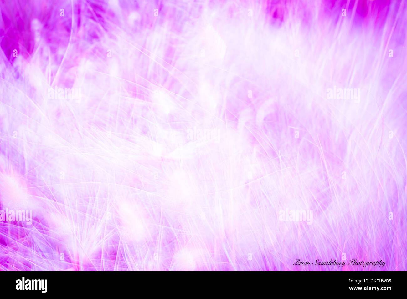 Lilac background pattern random markings and color Stock Photo - Alamy