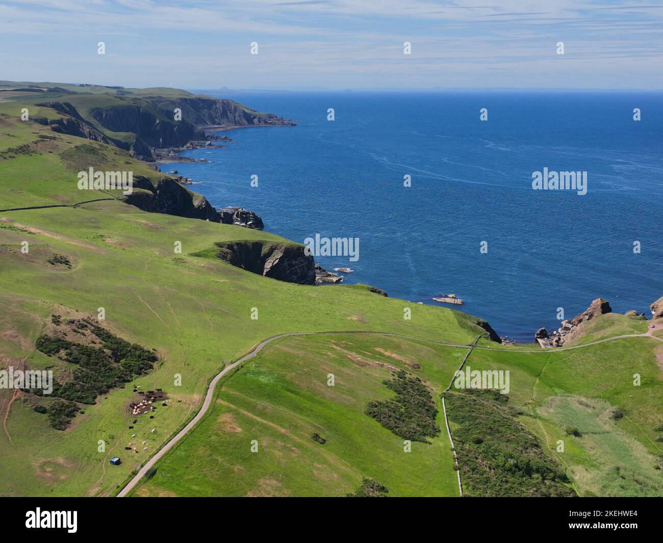 St. Abbs Head coastal cliffs aerial view in summer near village of St ...