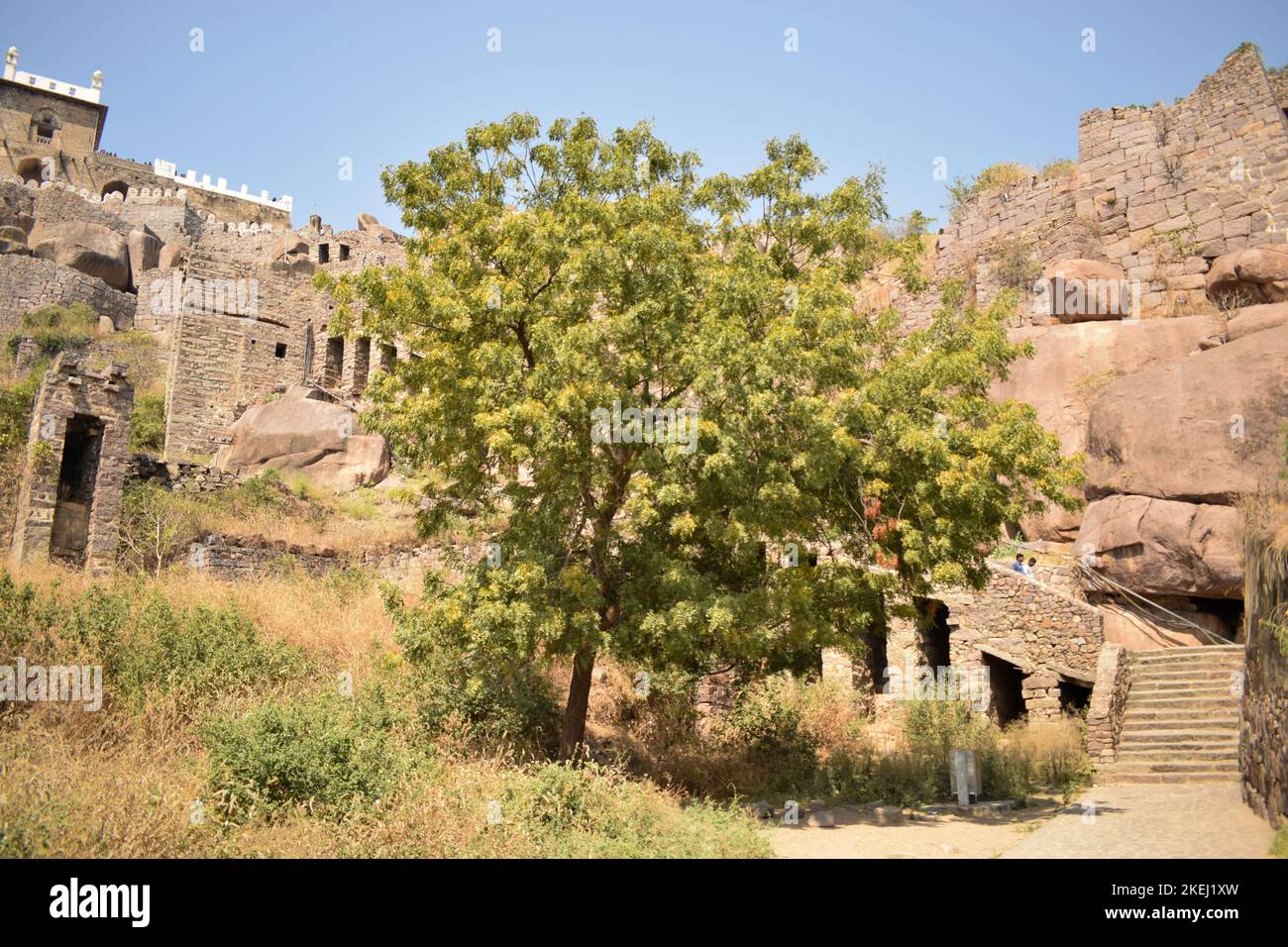Bodhi tree historical hi-res stock photography and images - Alamy