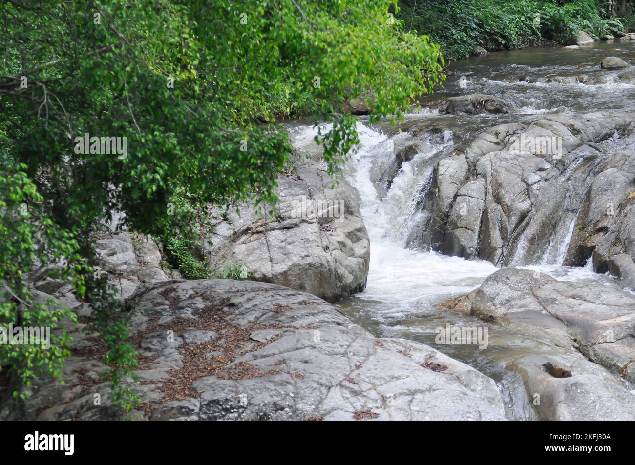 waterfall ,rock and tree in the forest or waterfall background or river ...