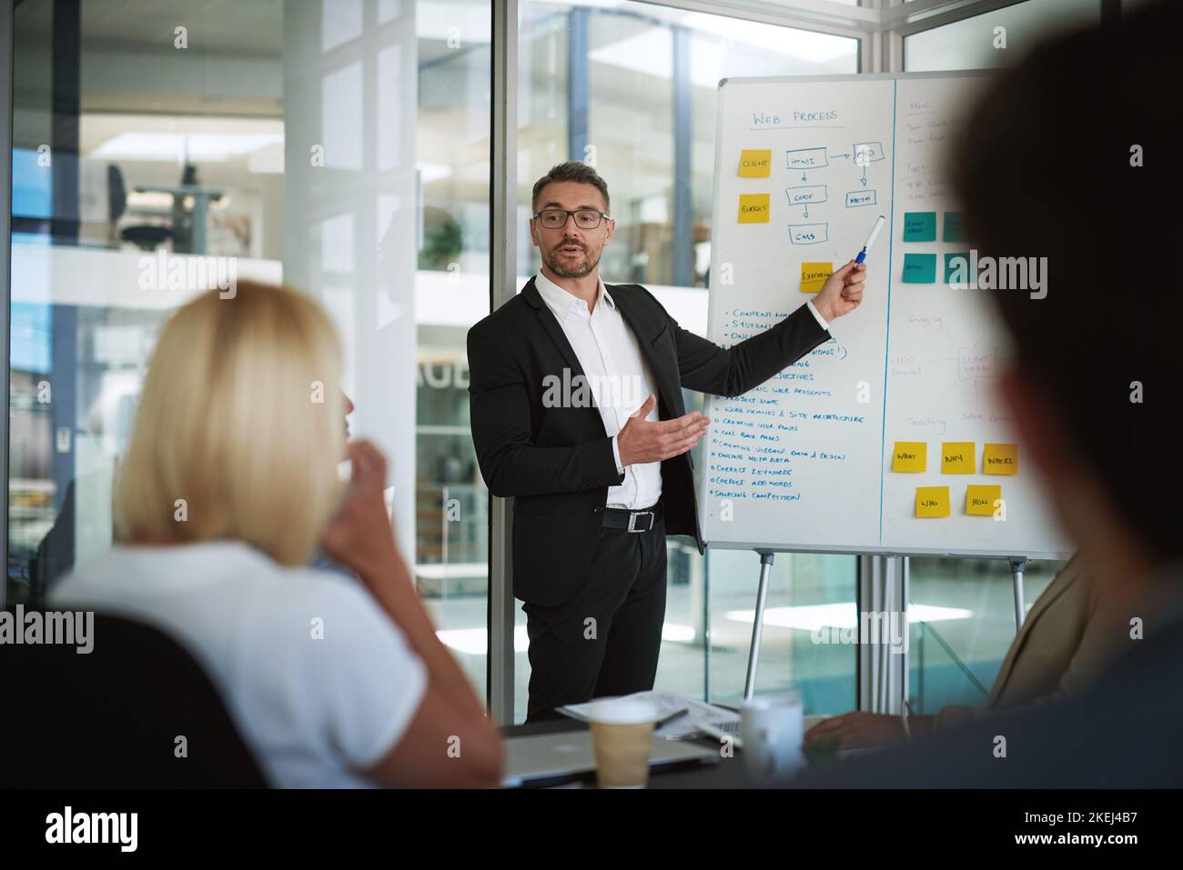 What are your thoughts on this. a mature businessman explaining work ...