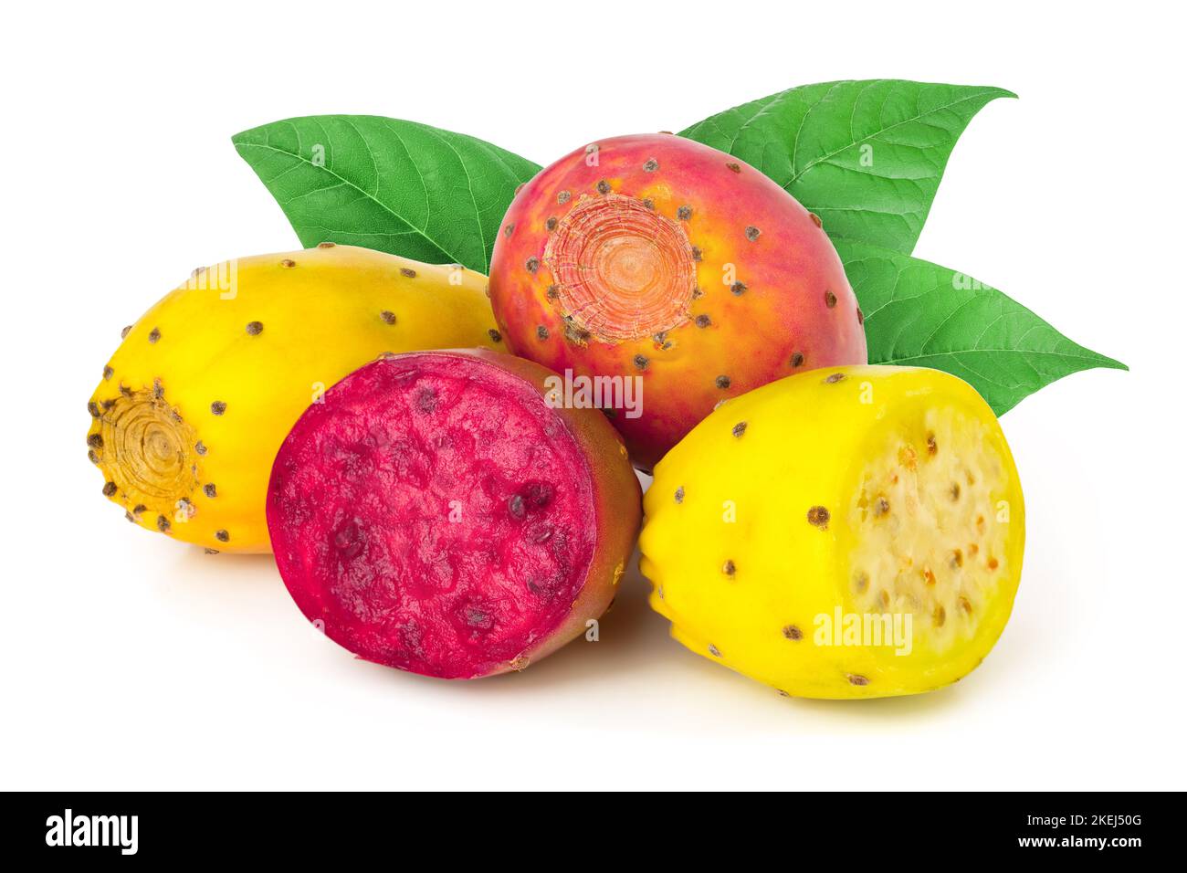 yellow and red prickly pear or opuntia isolated on a white background ...