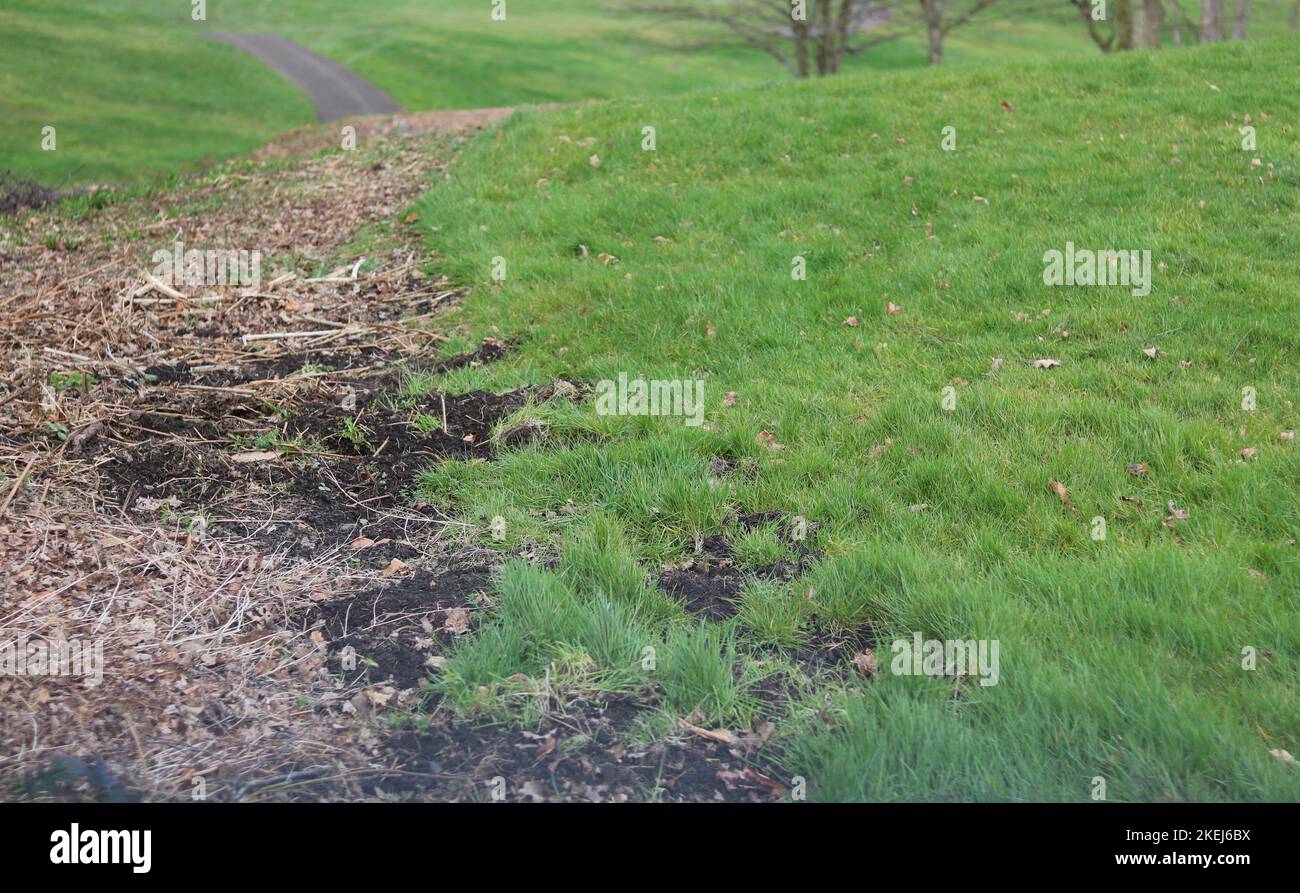 A muddy dirt track beside lush green grassy sloping ground Stock Photo ...