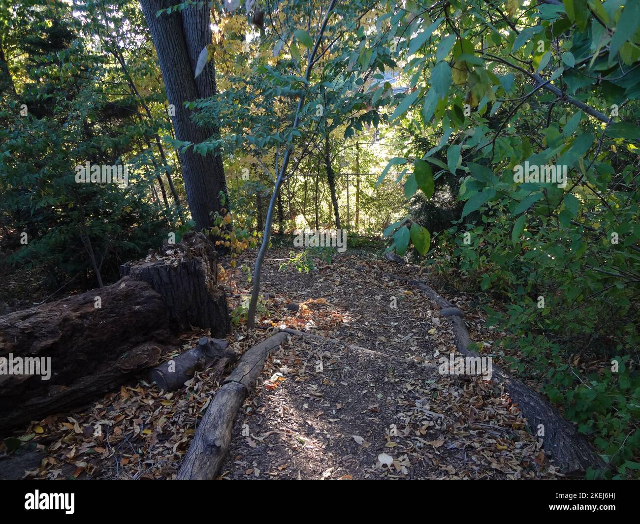 Wave Hill is a 28-acre estate in the Hudson Hill section of Riverdale ...