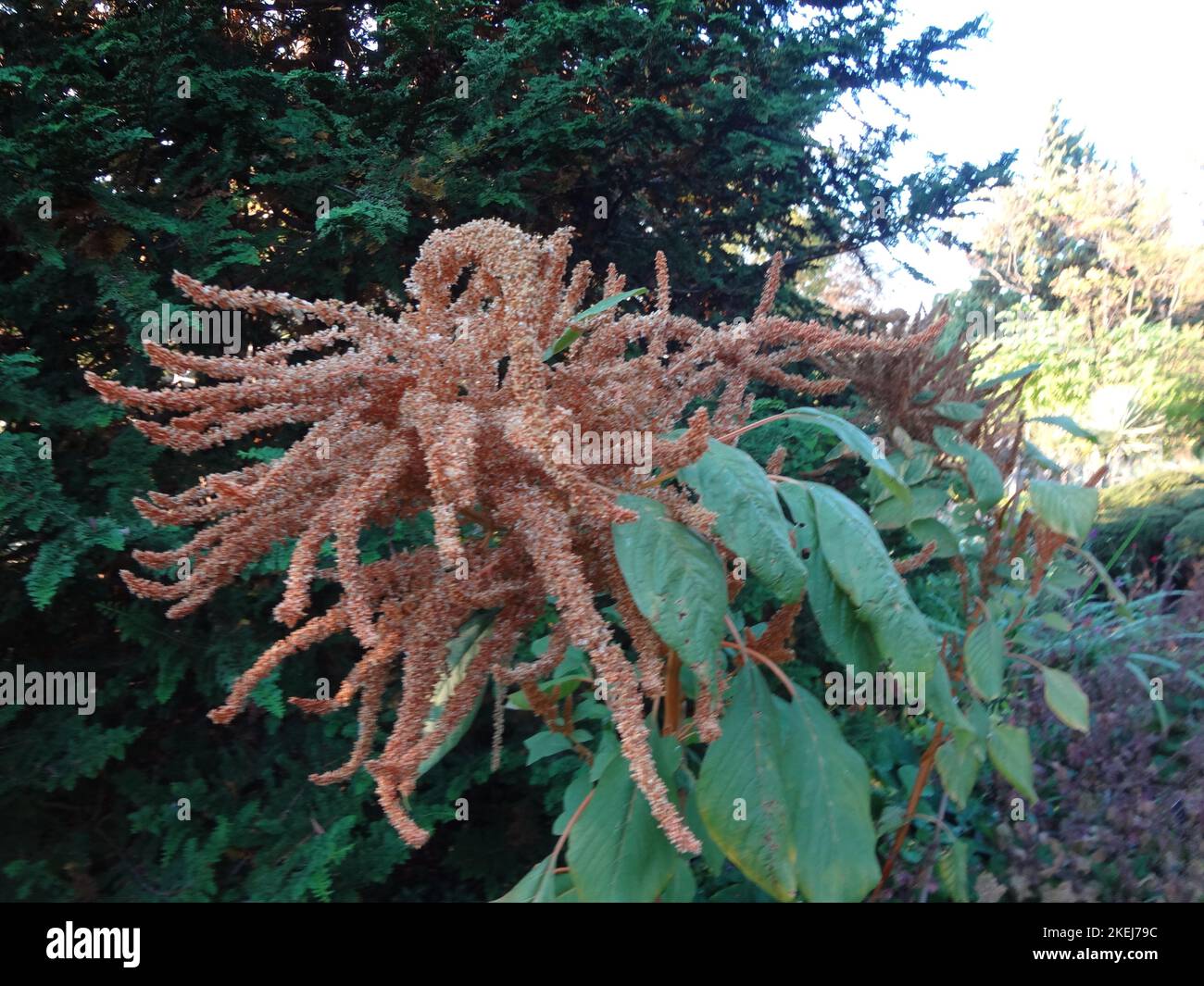 Wave Hill is a 28-acre estate in the Hudson Hill section of Riverdale ...