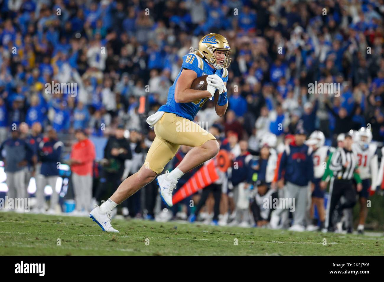 Pasadena, USA. 12th Nov, 2022. UCLA tight end Hudson Habermehl (81 ...