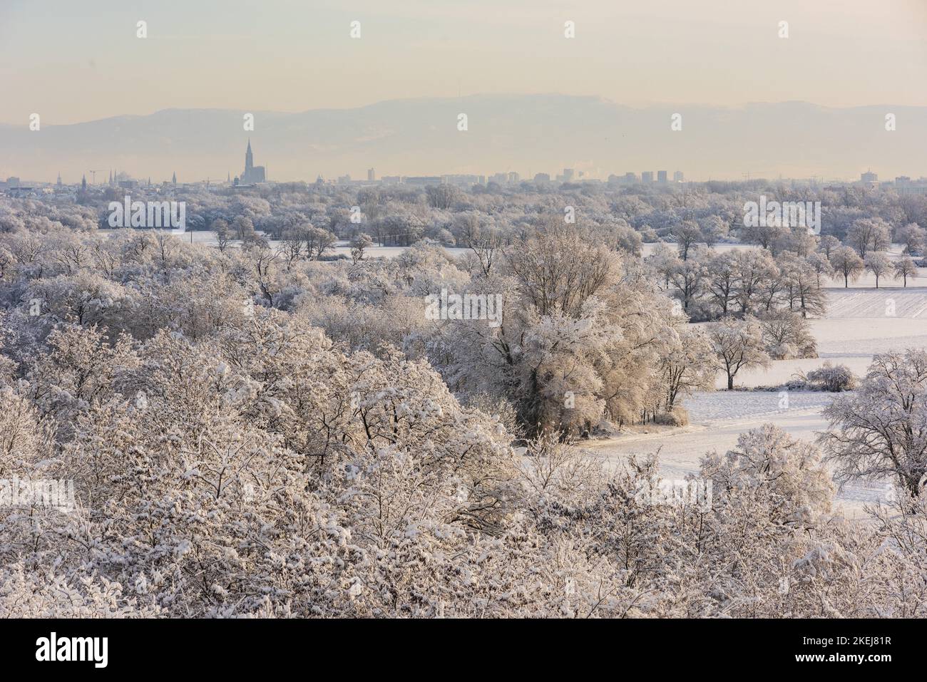 France. Alsace, Bas-Rhin (67) Vegetation at the end of the Bruche ...