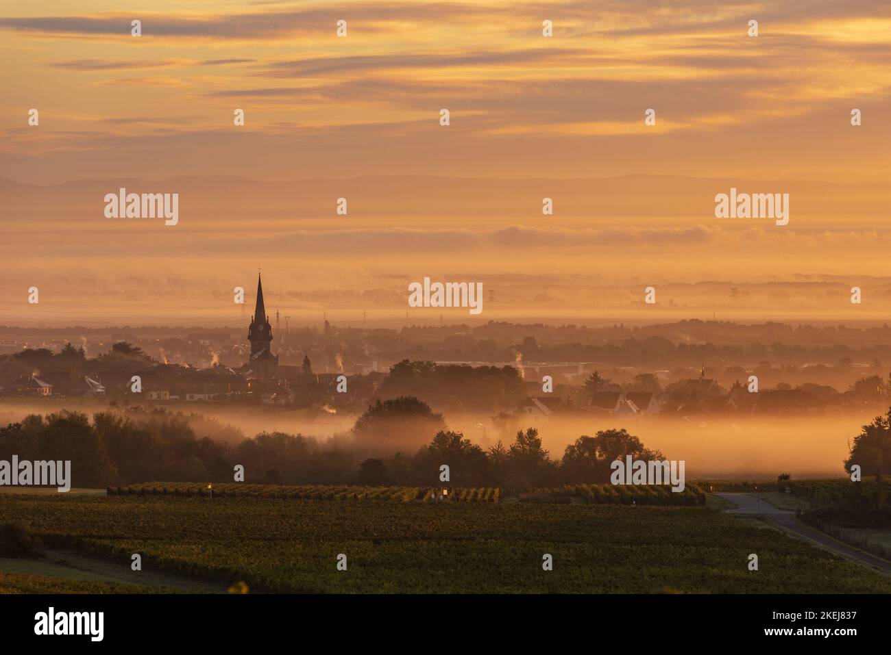 France. Alsace. Bas-Rhin (67) The village of Bernardswiller in the mist ...