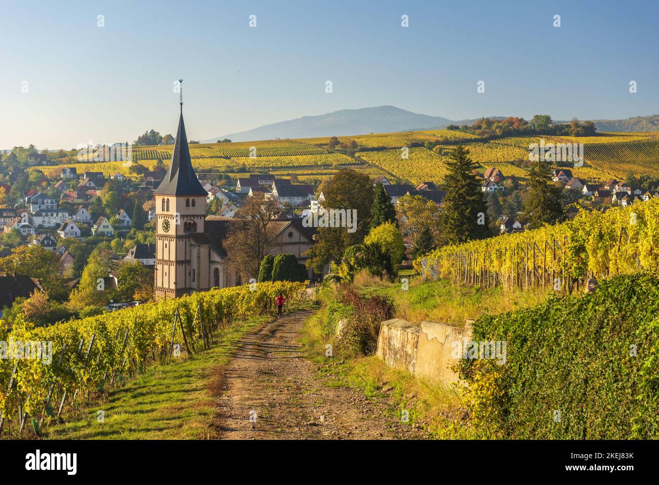 France. Alsace, Haut-Rhin (68) the village of Barr in autumn with its ...