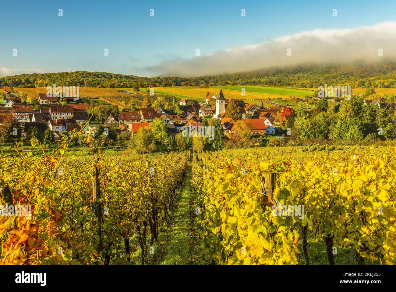 FRANCE, Alsace, Bas-Rhin (67), Northern Vosges Regional Nature Park ...