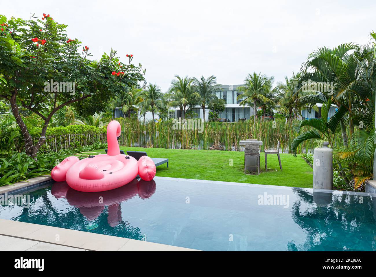 Inflatable pink plastic flamingo floating on the swimming pool with ...