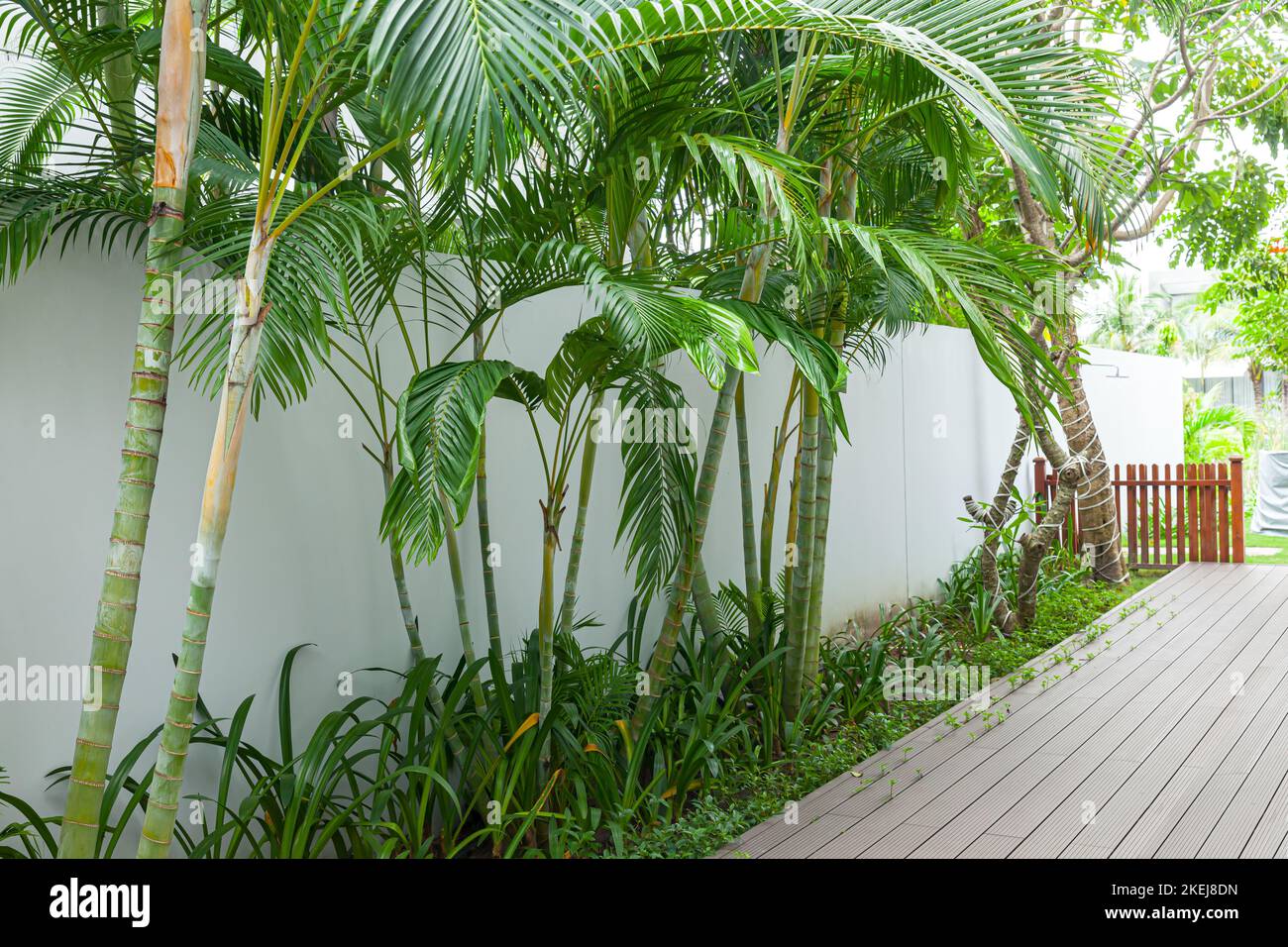 Courtyard with bamboo hi-res stock photography and images - Alamy