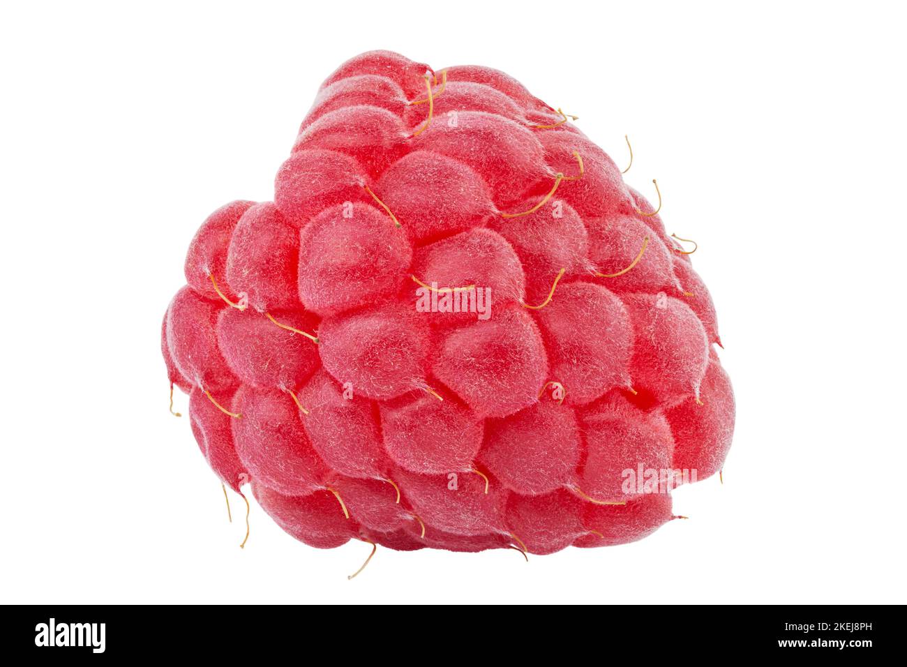 Raspberry isolated on white background. Red berry close up. File contains clipping path Stock ...