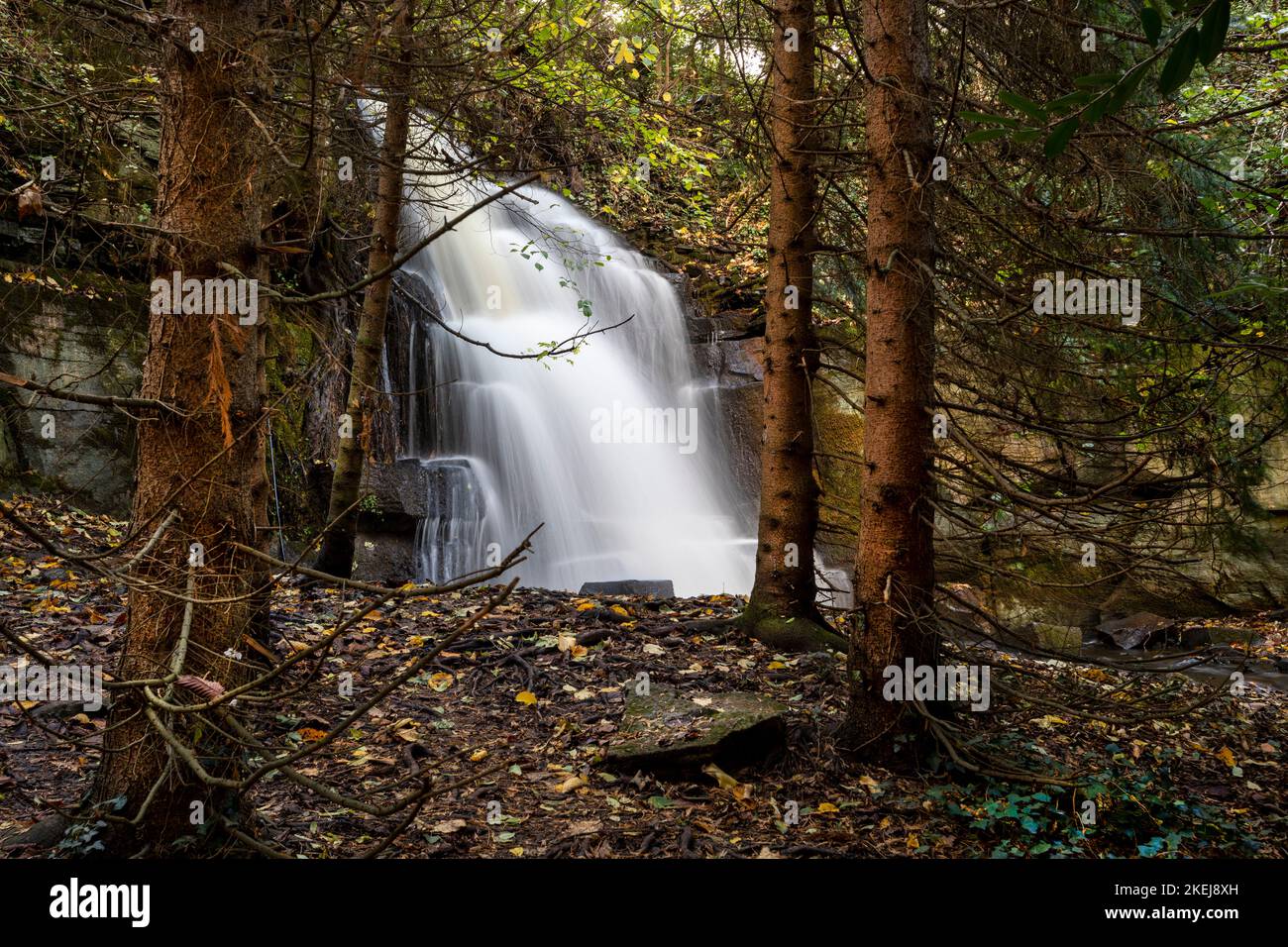 Harmby falls hi-res stock photography and images - Alamy