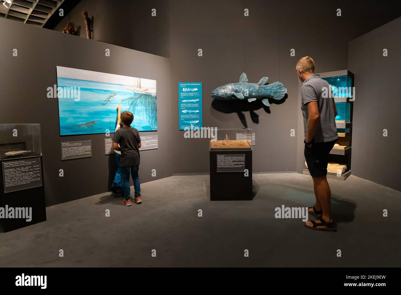 Prehistoric amphibious hi-res stock photography and images - Alamy