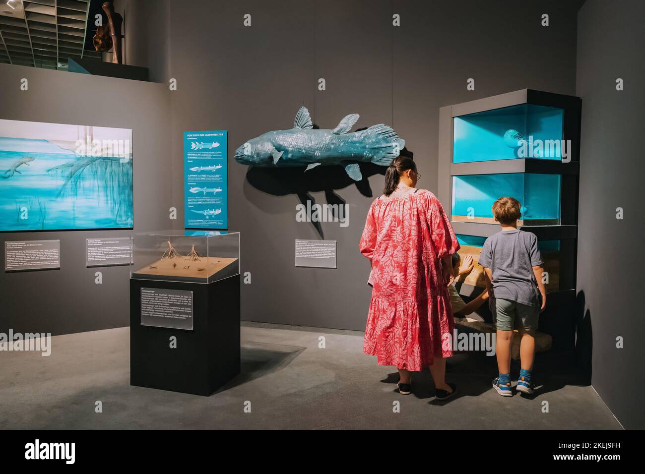 Prehistoric amphibious hi-res stock photography and images - Alamy