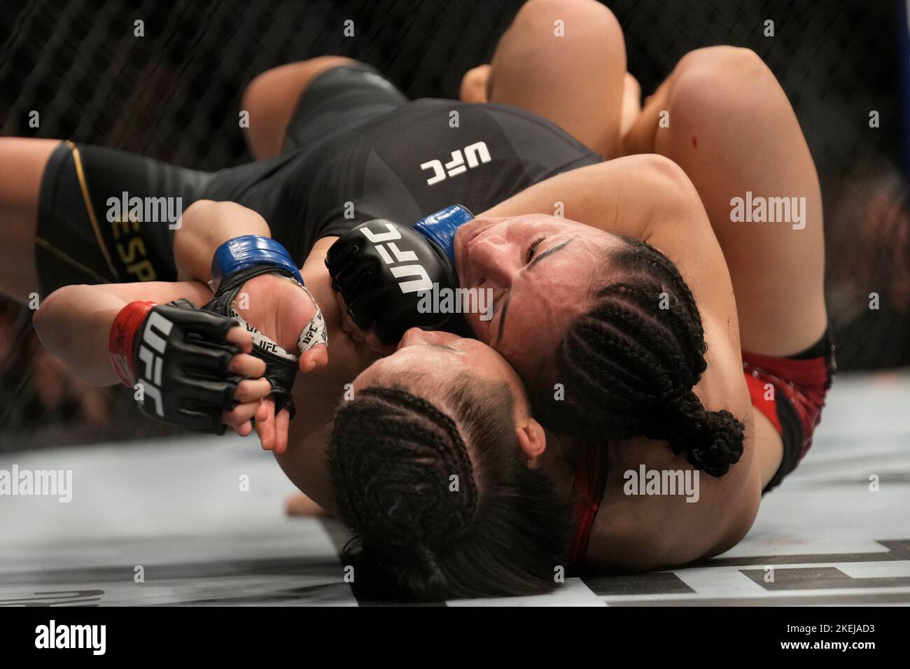 NEW YORK CITY, NY - NOVEMBER 12: Weili Zhang (bottom) submits Carla ...