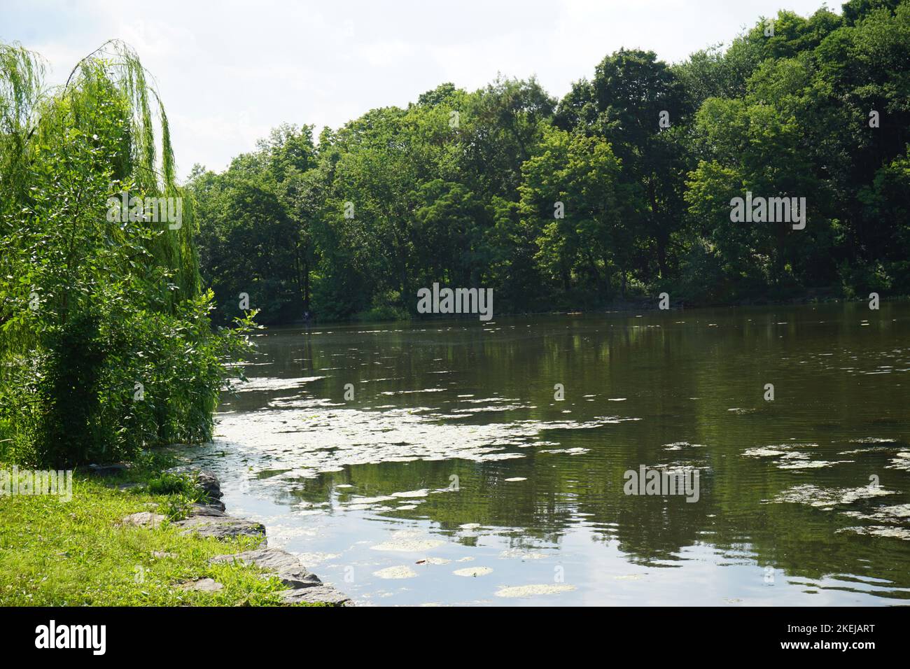 Van Cortlandt Park is a 1,146-acre park located in the borough of the ...