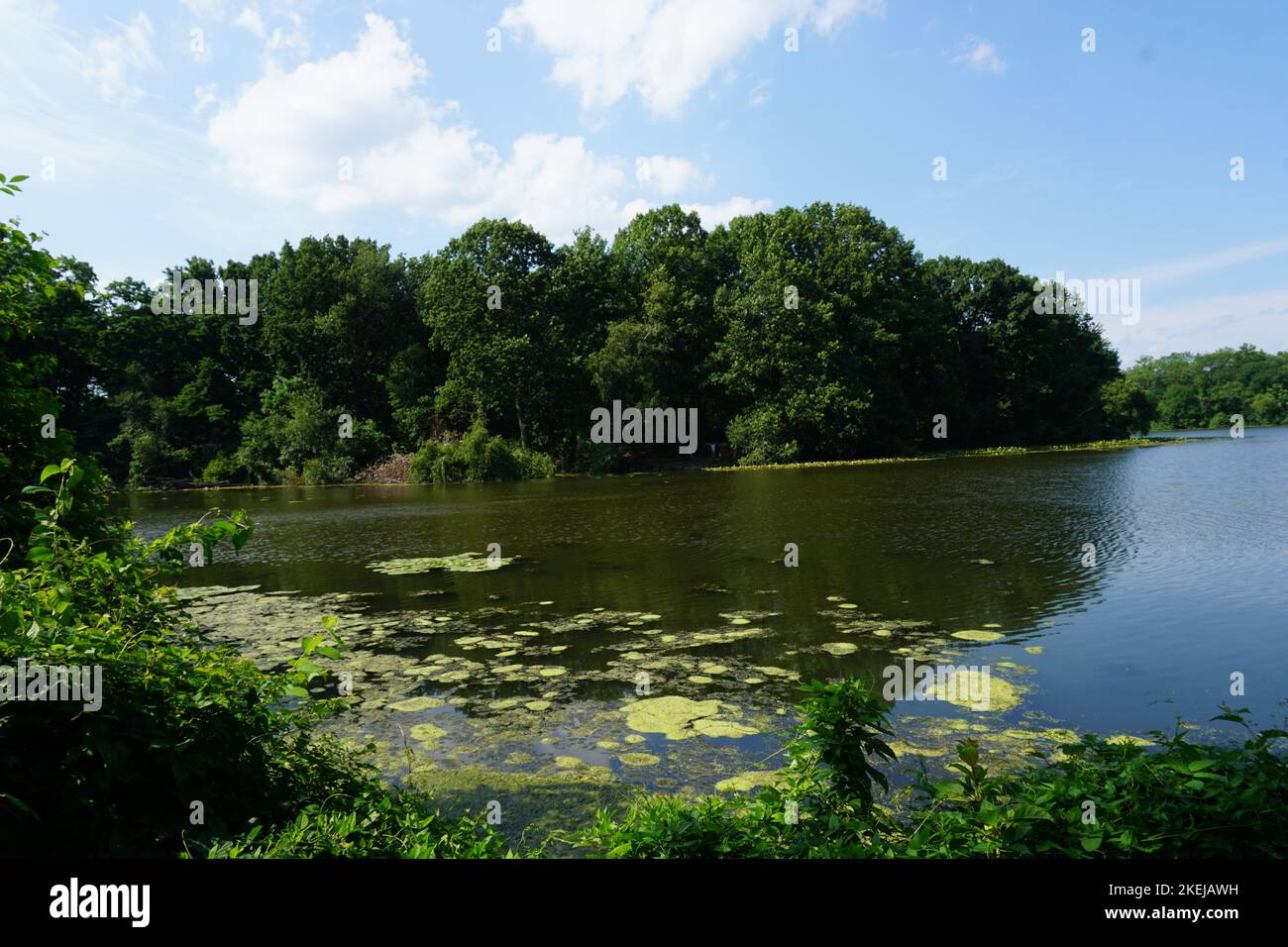 Van Cortlandt Park is a 1,146-acre park located in the borough of the ...