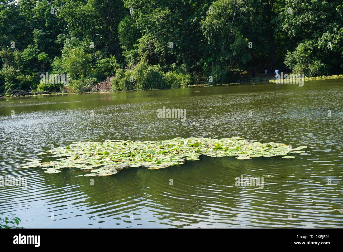 Van Cortlandt Park is a 1,146-acre park located in the borough of the ...