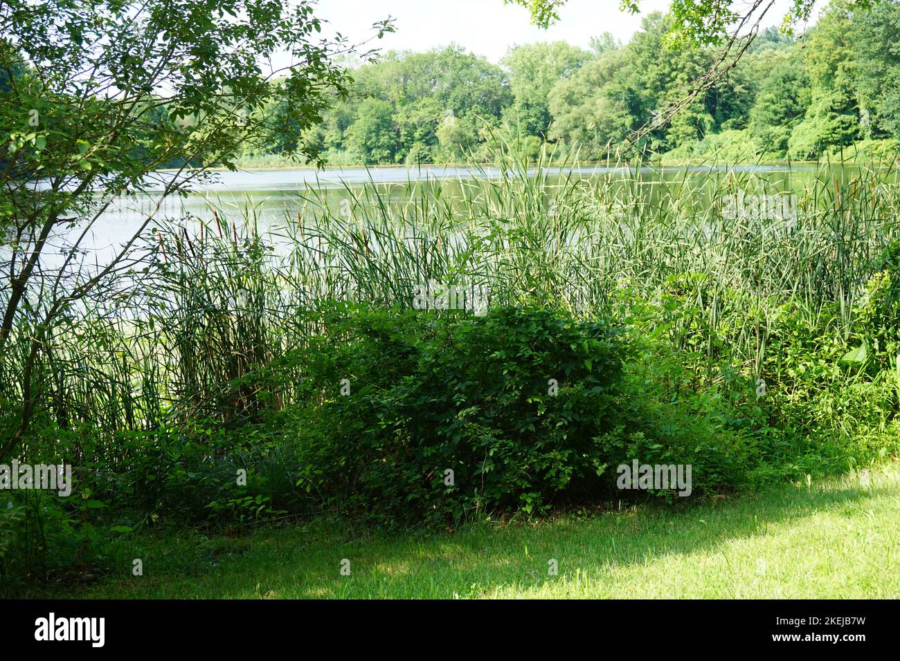 Van Cortlandt Park is a 1,146-acre park located in the borough of the ...