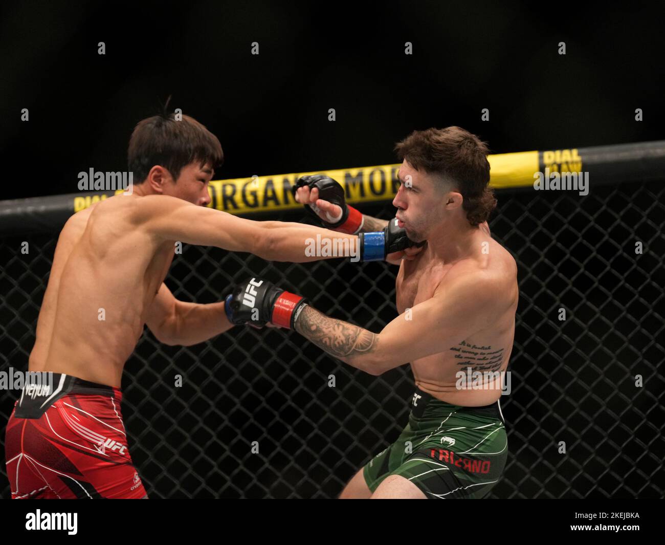 Choi seungwoo hi-res stock photography and images - Alamy