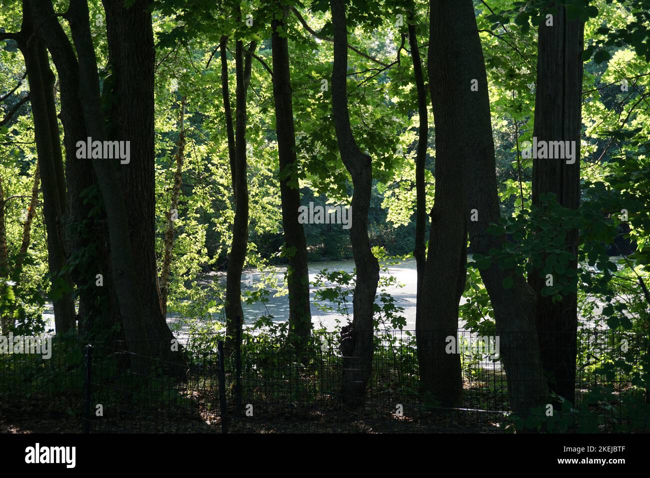 Van Cortlandt Park is a 1,146-acre park located in the borough of the ...