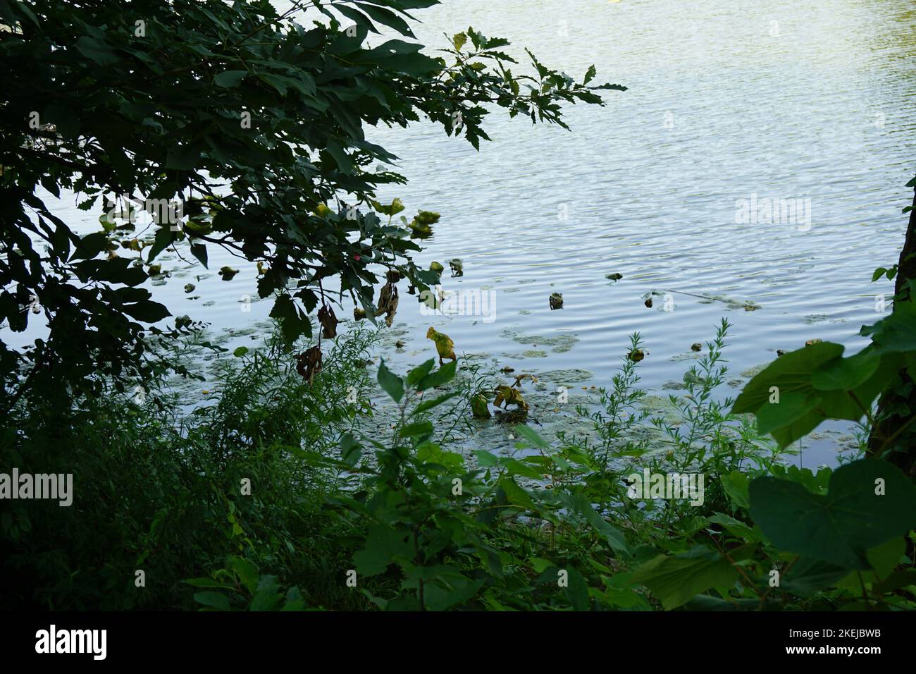 Van Cortlandt Park is a 1,146-acre park located in the borough of the ...