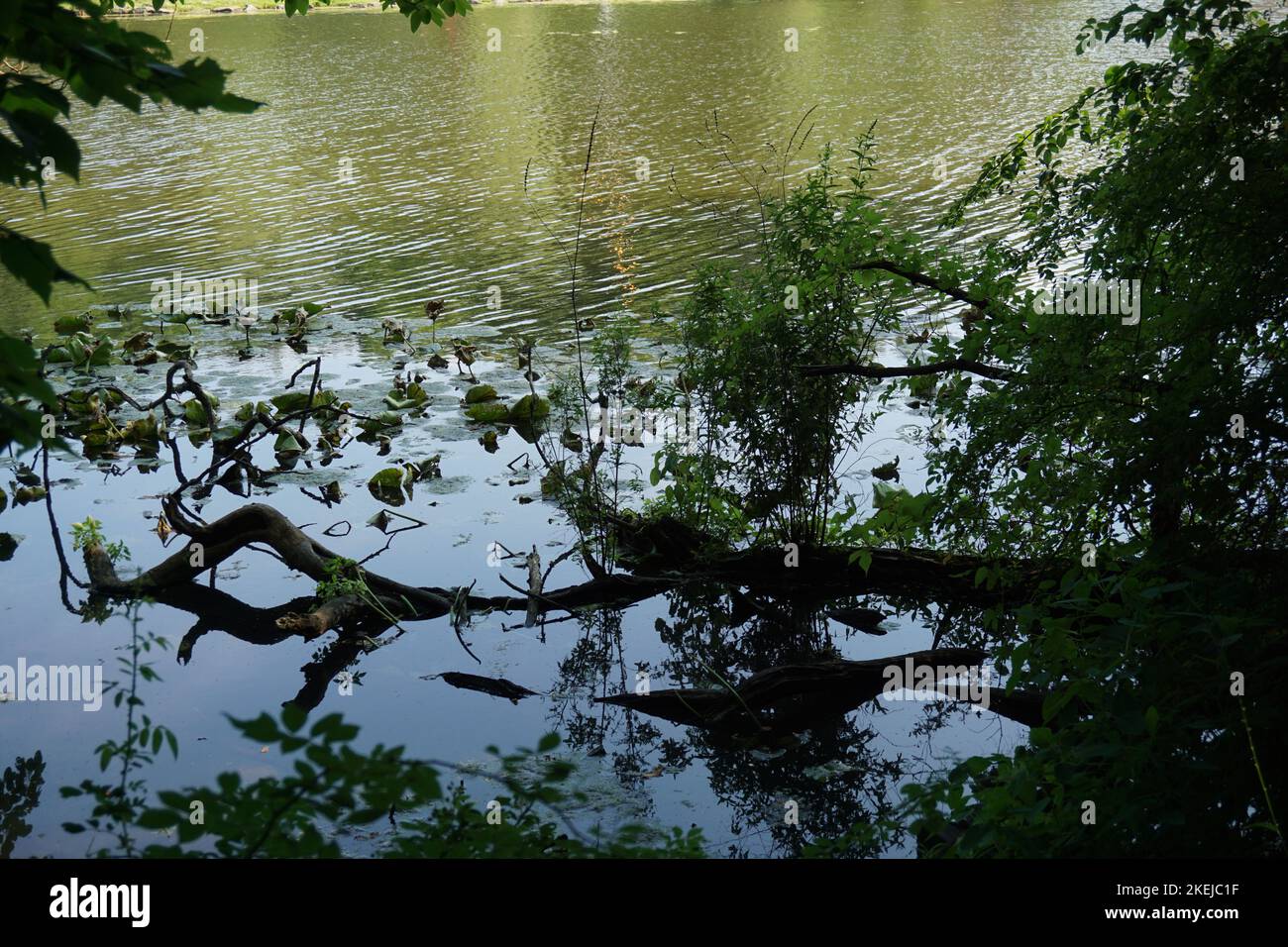 Van Cortlandt Park is a 1,146-acre park located in the borough of the ...