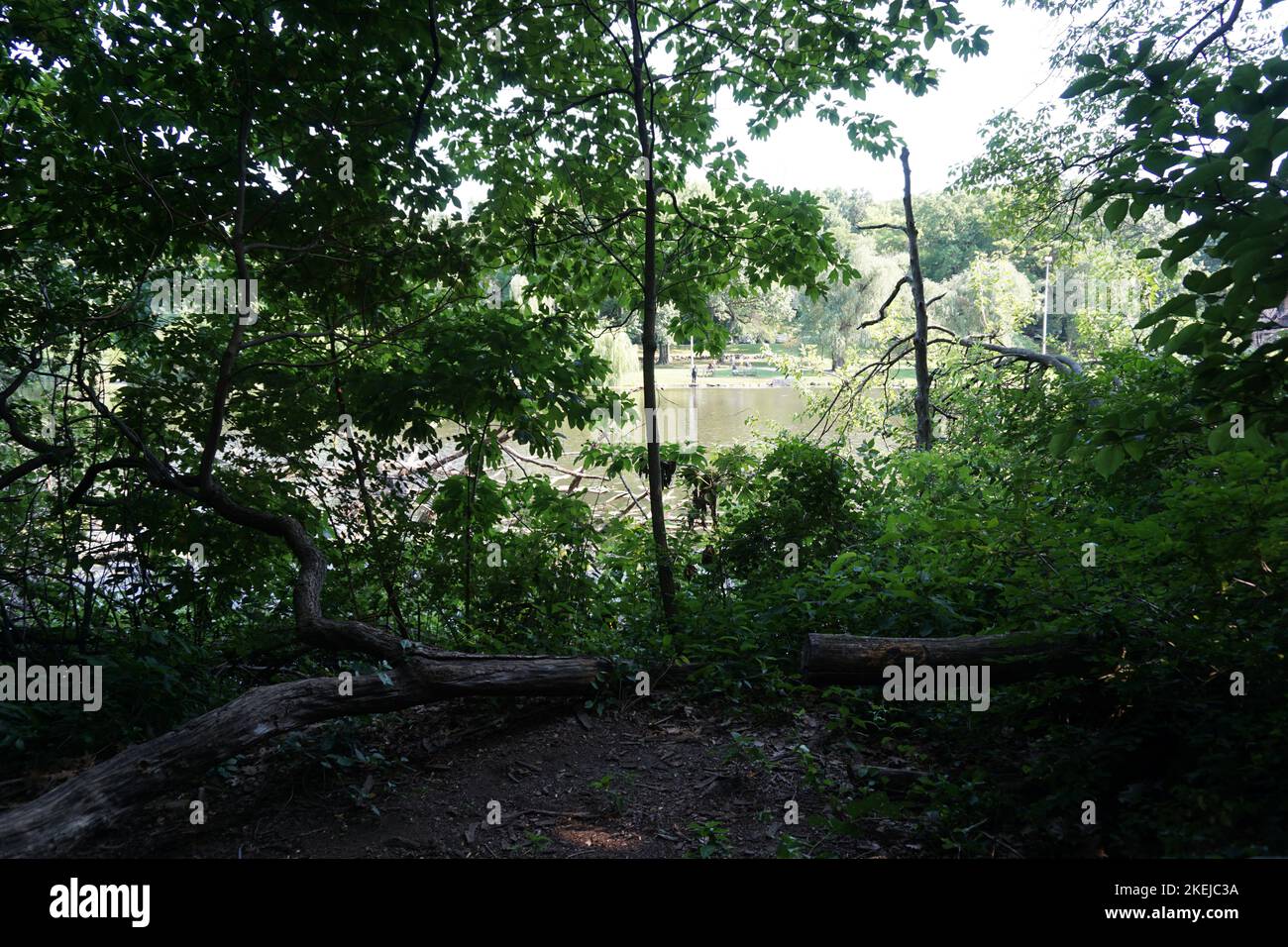 Van Cortlandt Park is a 1,146-acre park located in the borough of the ...