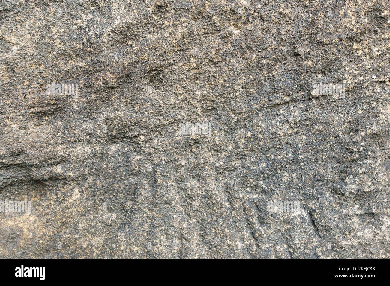 A flat face of sandstone in Mosman Bay, Sydney, Australia Stock Photo ...