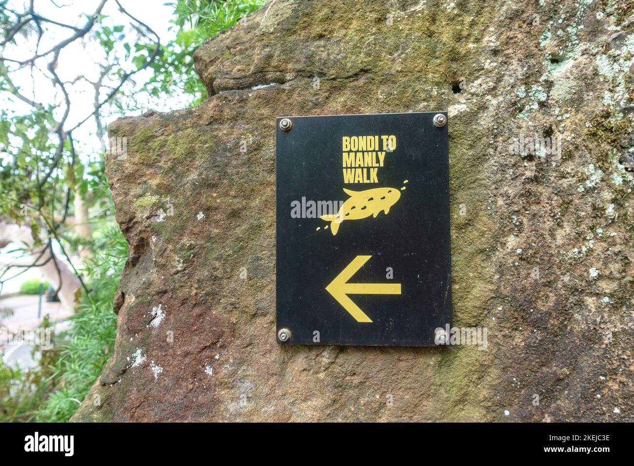 A sign for the Bondi to Manly Walk in Mosman Bay Stock Photo - Alamy