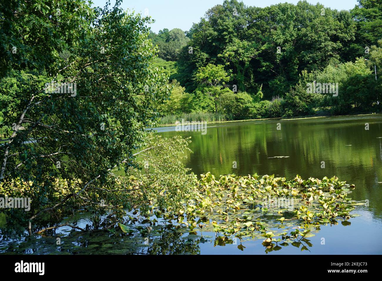 Van Cortlandt Park is a 1,146-acre park located in the borough of the ...