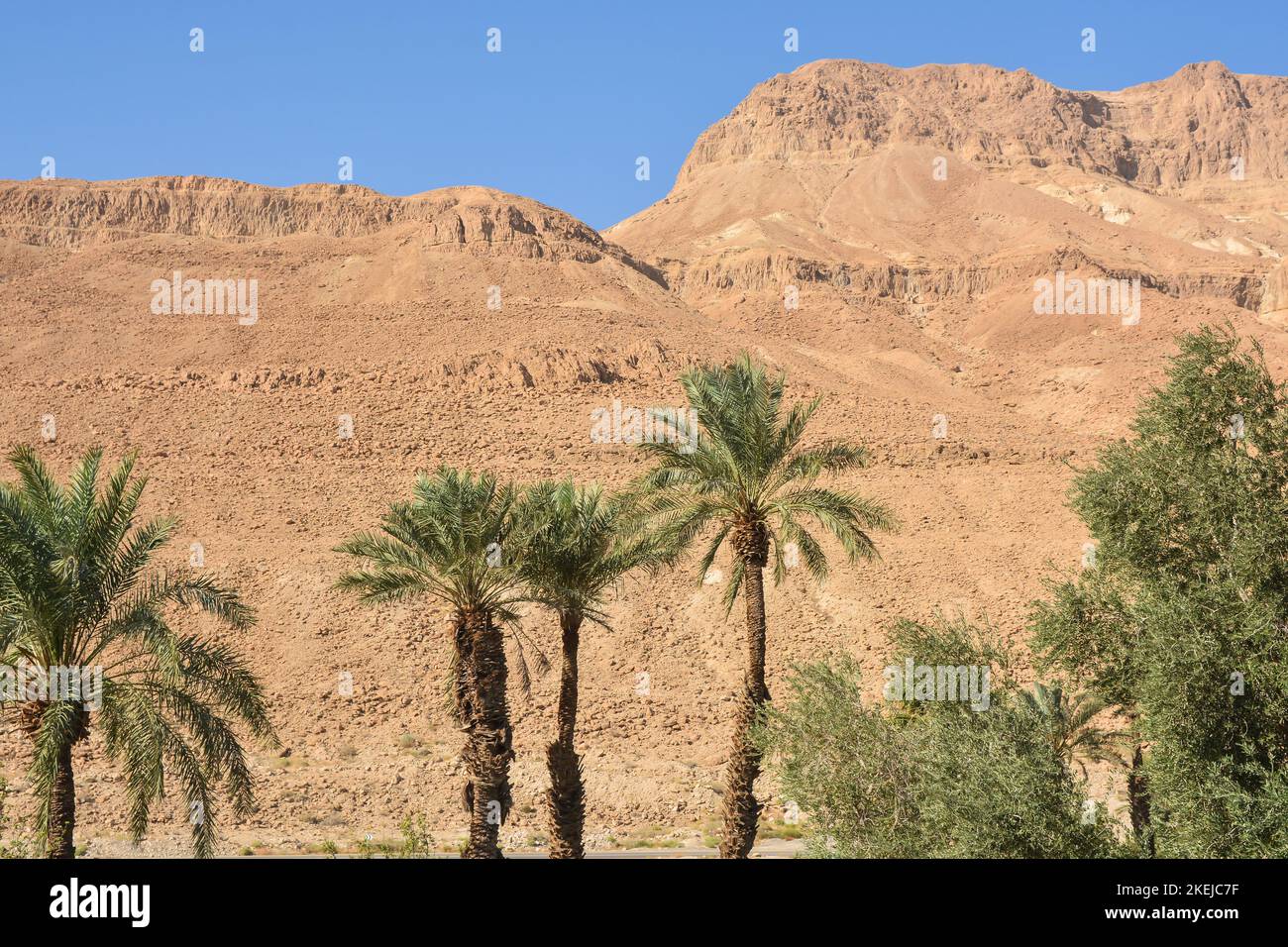 Rocks of the Judean Desert near Masada Park. The desert in the west of ...