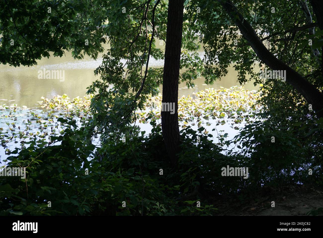 Van Cortlandt Park is a 1,146-acre park located in the borough of the ...