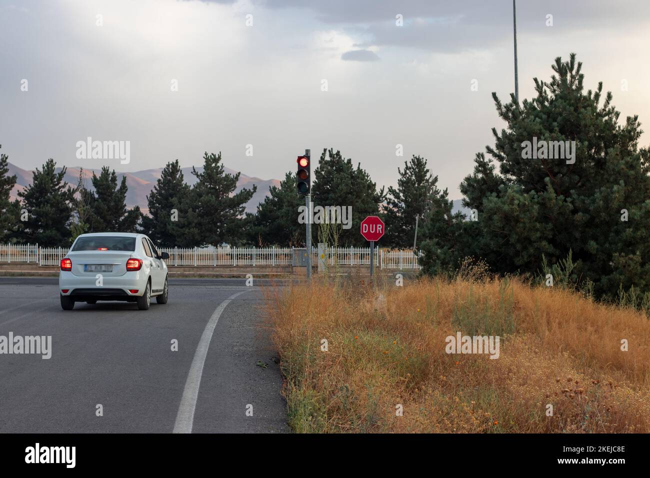 The car waiting at the red light. The road through the countryside ...