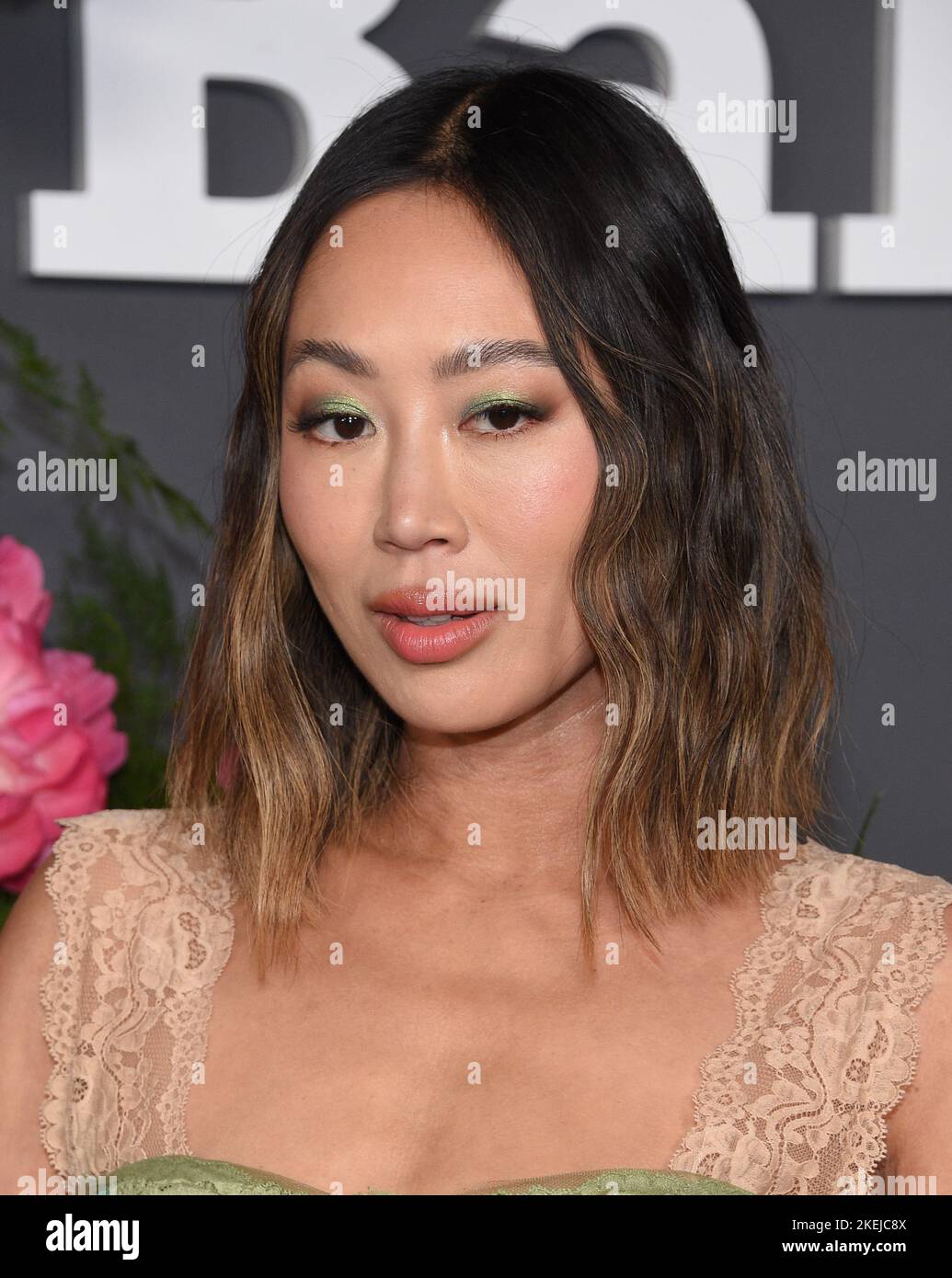 Aimee Song Hair
