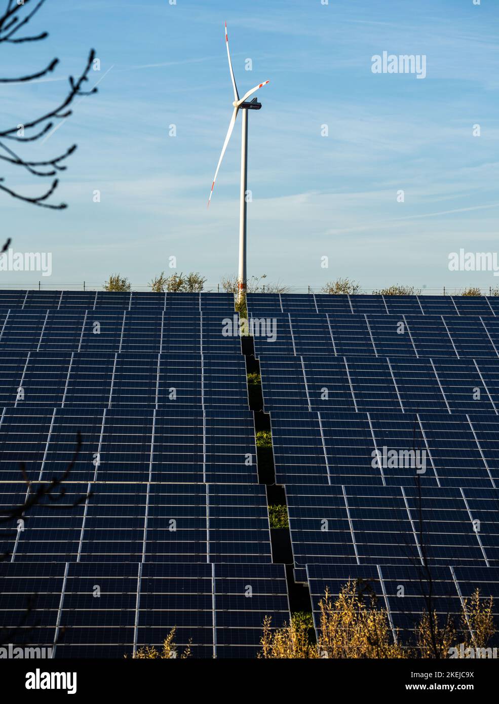 Large scale solar installation hi-res stock photography and images - Alamy