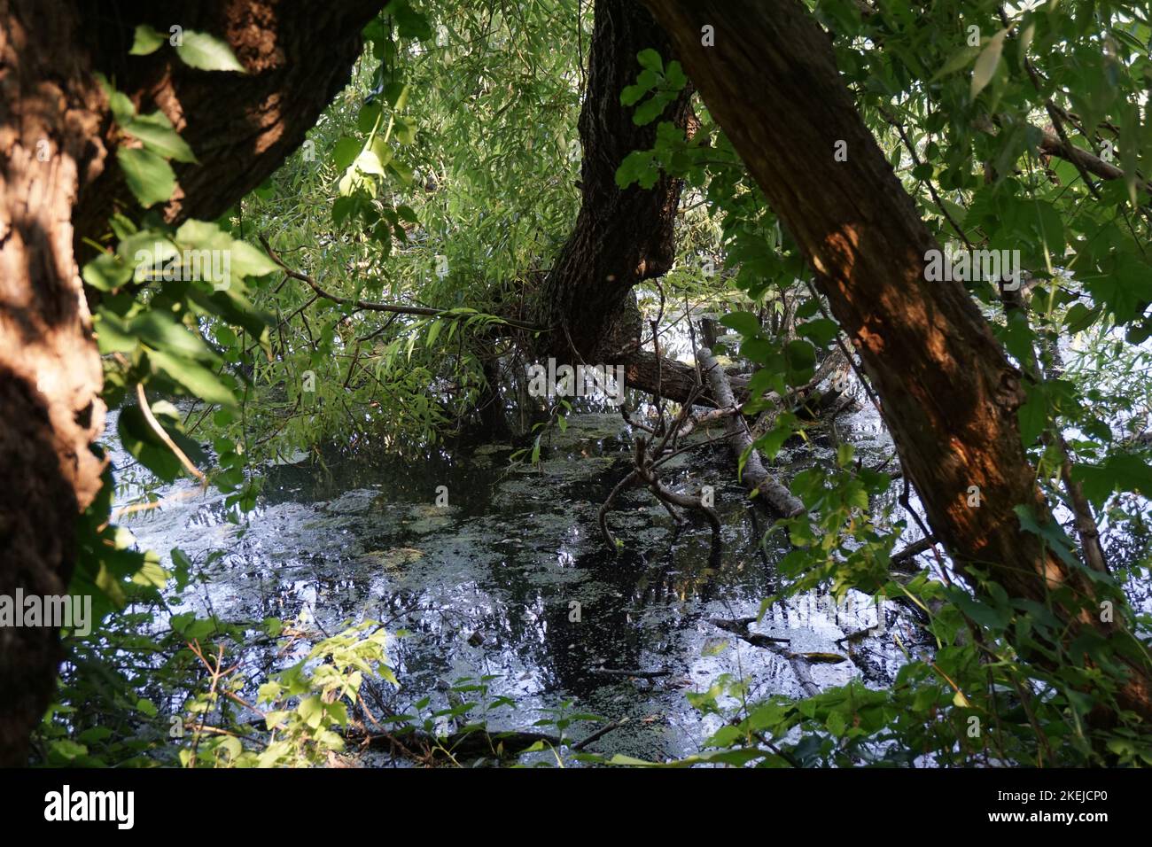 Van Cortlandt Park is a 1,146-acre park located in the borough of the ...